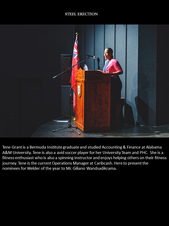 Division 5 – Metals – Bermuda Construction Safety Council